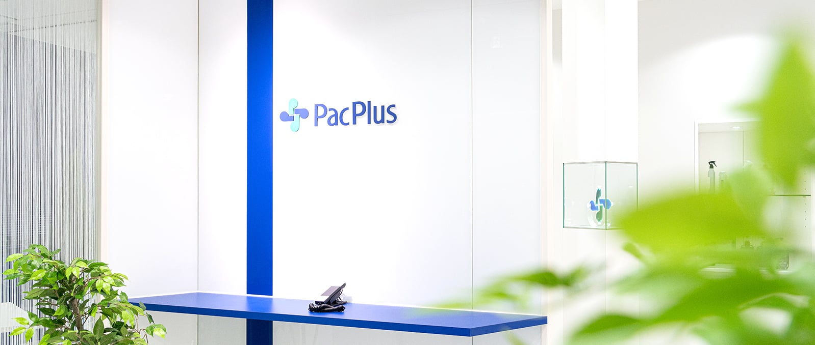 PacPlus Co.,Ltd.